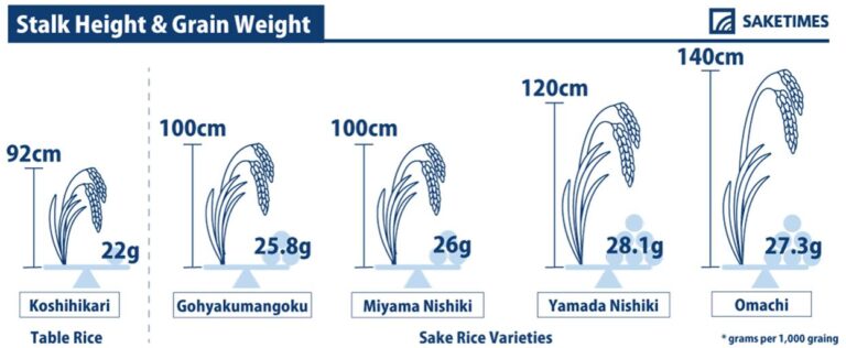 Sake Explained: What It Really Is and How It's Made - AZ Japan